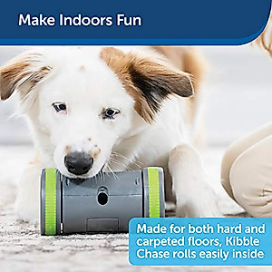 PetSafe Kibble Chase - Electronic & Interactive Dog Treat Dispensing Toy, Encourages Play Time, Adjustable Opening, 10 Minutes Play and Rest, Holds 1/2 Cup of Treats, Durable Plastic