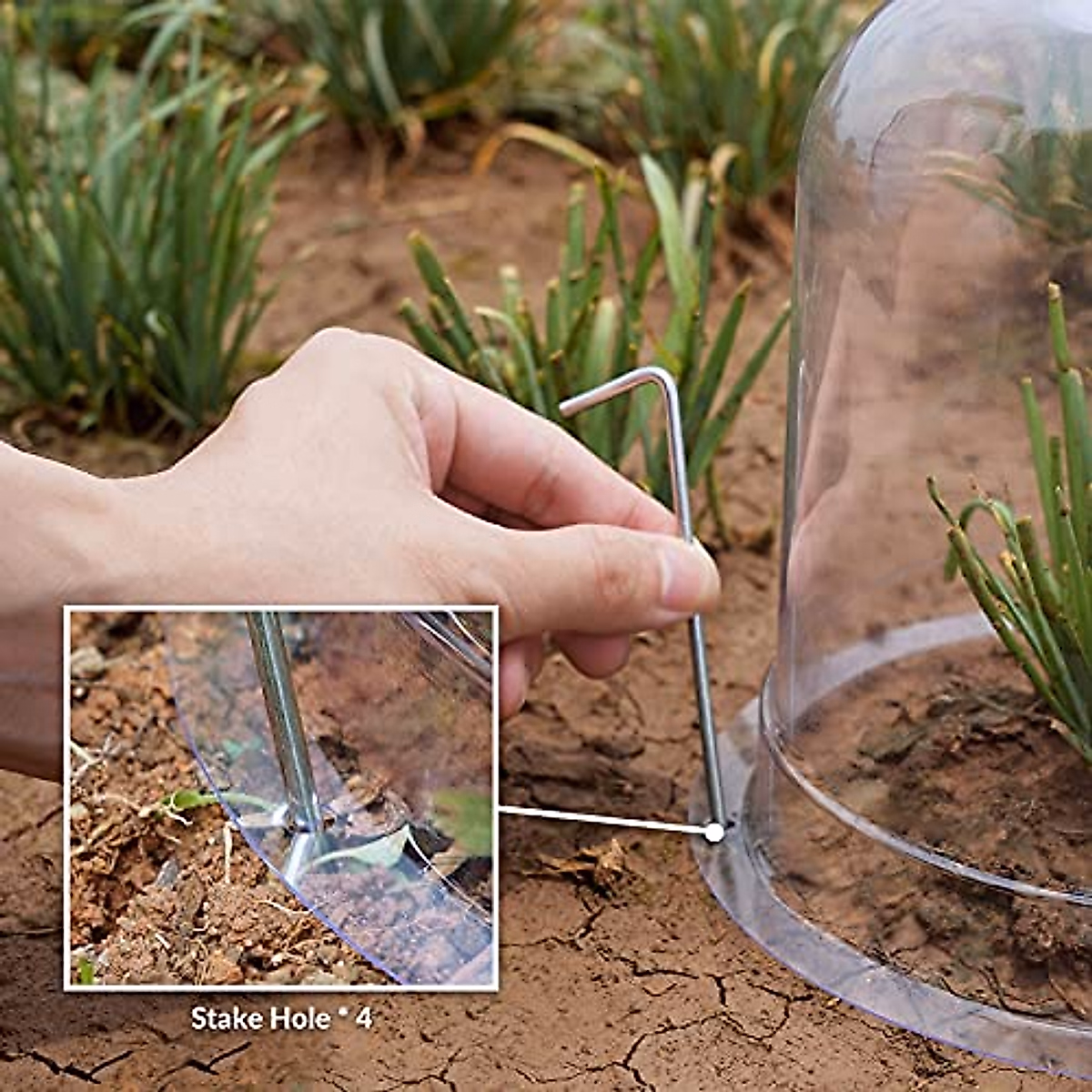 SOLIGT Garden Cloche, 10 Set Thick Plant Bell Clochoes Plastic Humidity Domes with Clear Vent & 40 Securing Pegs (7.88" D x 6.89" H) for Seed Starting and Plant Cover Protector