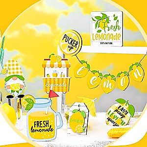 11 Pieces Lemon Peach Pumpkin Tiered Tray Decor Set Gnome Fresh Lemonade Wooden Tiered Tray Decor Peach Lemon Wood Blocks Standing Sign Decorations for Layered Pallets Summer Autumn (Lemon Style)