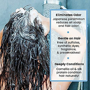 Hair Shampoo for Women & Men | Sulfate Free Shampoo with Japanese Persimmon Formula Eliminates Hair Odor & Hydrates Dry Hair | 13.5 oz