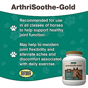NaturVet ArthriSoothe Gold Advanced Joint Horse Supplement Powder – For Healthy Joint Function in Horses – Includes Glucosamine, MSM, Chondroitin, Hyaluronic Acid – 120 Day Supply