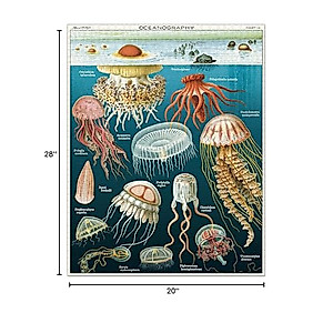 Cavallini Papers & Co. Jelly Fish 1,000 Piece Puzzle, Multi