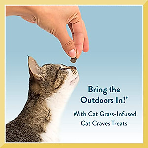 Pet Greens Treats Deep Sea Tuna Semi-Moist Cat Treat 3 Ounce (Pack of 1)