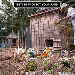 Upgraded Black Hardware Cloth Galvanized Wire Mesh 1/2 Inch 19 Gauge Chicken Wire Fence Roll Welded Wire Mesh Fence Roll for Home and Garden Fence and Home Improvement Project (1/2 inch 36''x100')