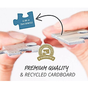 Frisco, North Carolina - 18 November 2020 Rays Filter THR. Jigsaw Puzzle Jigsaw Puzzle with 500 Pieces