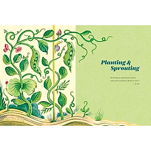 Leaning toward Light: Poems for Gardens & the Hands That Tend Them