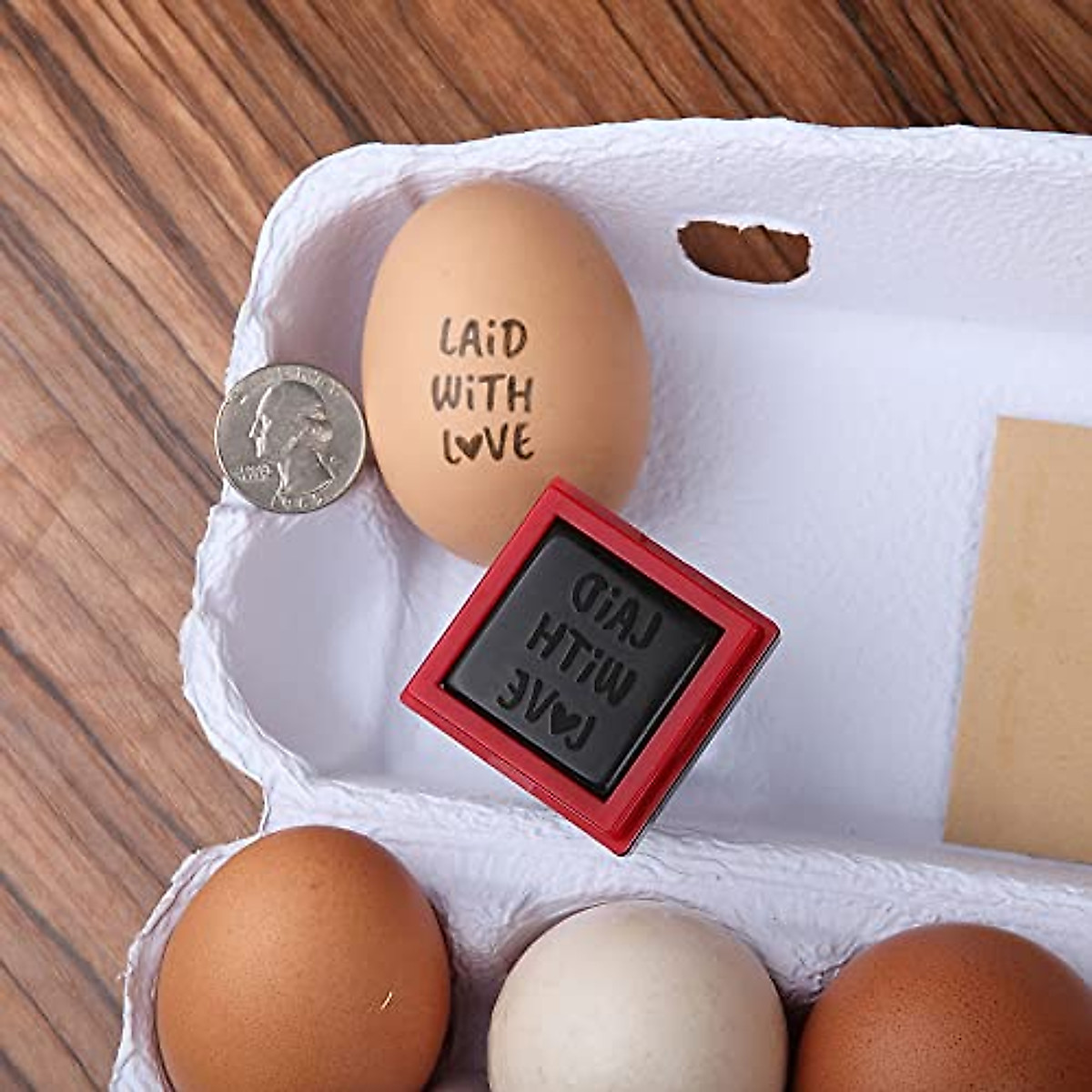 PrudoPex Egg Stamp for Fresh Eggs, Custom Egg Stamp, Customizable Farm Fresh Egg Stamp, Personalized Chicken Egg Satmp for Farm and Kitchen Creations (1)