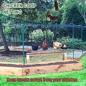 Bird Netting for Chicken Coop - 50x50ft Chicken Netting for Chicken Coop Roof, Poultry Net Coop Netting Cover, Hawk Netting for Chicken Run Fence, 2.4" Mesh Anti Bird Net for Garden Aviary Tree Deers