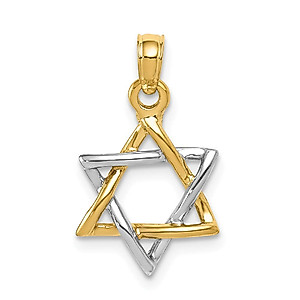 FB JEWELS Solid 14K White And Yellow Two Tone Gold Polished Star Of David Pendant