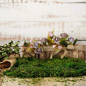 Farmoo Artificial Moss for Plant, 8OZ Fairy Garden Lawn Crafts Wedding Decor, 225gr (Fresh Green Moss)