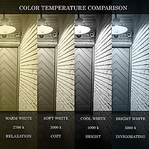 Laborate Lighting A19 LED Light Bulbs - E26 Base, 60W, 800 Lumens, Warm White 2700K Illumination - Dimmable, Energy Saving Outdoor & Indoor Home, Commercial Lighting - 80+ CRI, 10-Year Life - 4-Pack