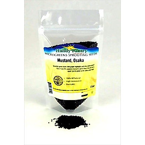 Osaka Purple Mustard Seeds - 4 Oz. Resealable Bag - Use for Indoor Gardening, Growing Microgreens & More | Micro Greens Salad Garden Seeds