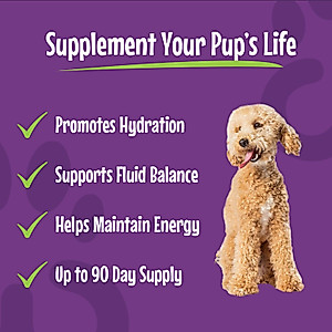 Pawlific Electrolyte Chews for Dogs- Superior Pet Hydration Support, Anti-Diarrhea, and Dog Vitamins | All-Natural Ingredients, Made in the USA | 3-Month Supply for Active Dogs