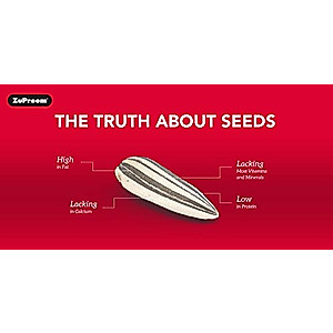 ZuPreem FruitBlend Flavor Pellets Bird Food for Very Small Birds, 2 lb - Daily Blend Made in USA for Canaries, Finches