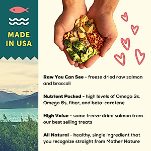 A Better | Salmon Dry Dog Food | Raw You Can See | High Protein Kibble + Freeze Dried Raw Dog Food