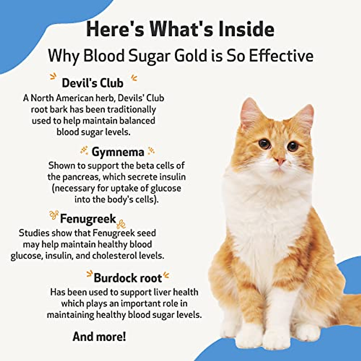 Pet Wellbeing - Blood Sugar Gold for Cats - Natural Support for Healthy Blood Sugar Levels in Diabetic Cats - Insulin Stabilization & Normal Pancreatic Function - 2 oz (59 ml)