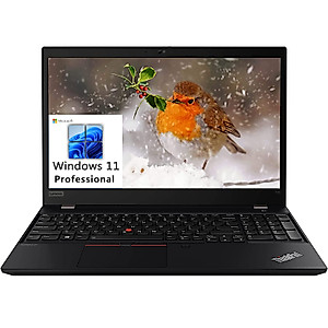 Lenovo ThinkPad T15 Gen 2 15.6" FHD Business Laptop, Intel Quad-Core i5-1135G7 (Beat i7-1065G7), 16GB DDR4 RAM, 256GB PCIe SSD, WiFi 6, Backlit KB, Fingerprint Reader, Windows 11 Pro, External Webcam