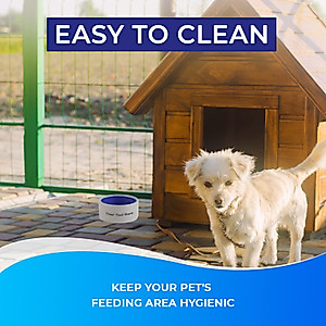 Personalized Pets Bowls with Name - Heavy Duty Ceramic Pet Bowl for Cats and Small Dogs - Custom Name Non-Slip Ceramic Cat Dish - Easy to Clean Cat Feeding & Watering Supplies - 64 oz