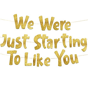 We Were Just Starting To Like You Gold Glitter Banner - Going Away Party - Moving Party - New Job - Will Miss You - Funny Retirement Party Supplies, Gifts and Decorations