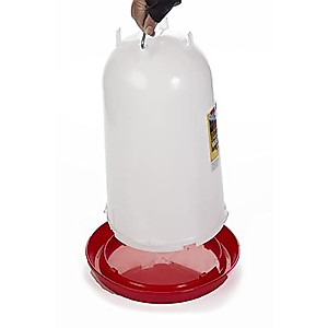 Plastic Poultry Drinker (3 Gallon) - Little Giant - Heavy Duty Plastic Gravity Fed Water Container Jar (Red) (Item No. 7906)