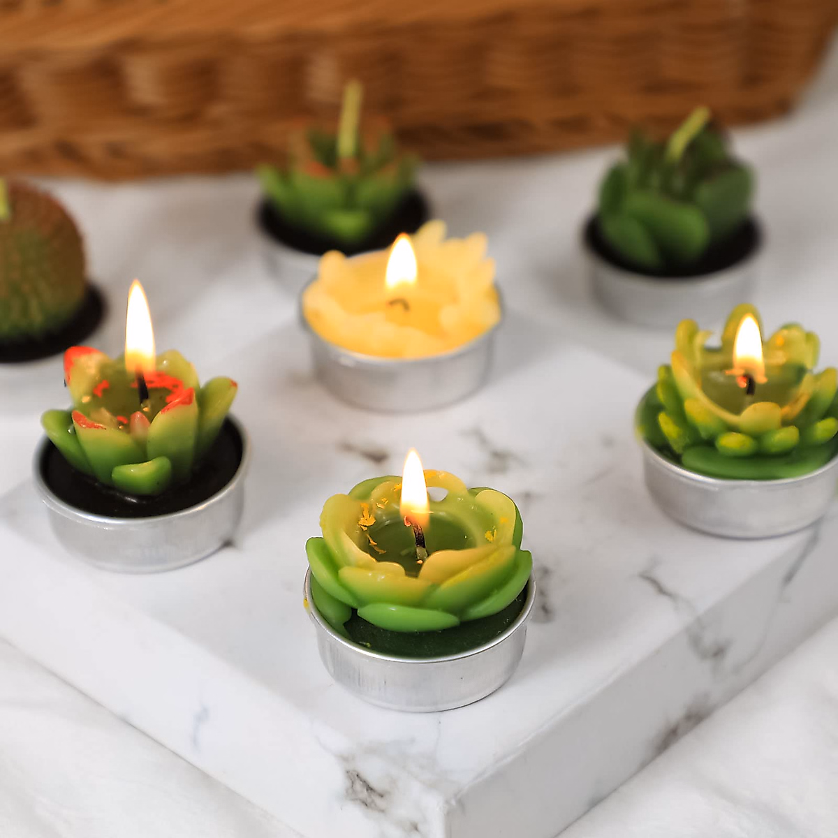 SCENTORINI Tealight Candles, 12 Pack Cactus Candles, Cute Tealight Candles for Christmas Decorations, Mini Delicate Candles, Unscented Candles Gift for Birthday Party Wedding Home Decor