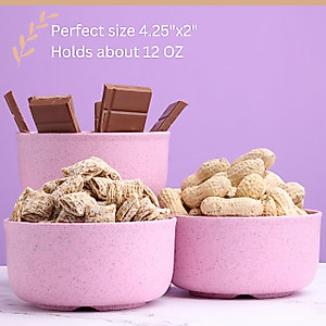 Wheat Straw Bowls Set of 4 Lightweight Reusable Plates - Microwave & Dishwasher Safe - Wheat Straw Dinnerware Sets - Cereal Bowl - Ramen Bowl Set - Soup bowls - Salad Bowl - Fruit Bowl