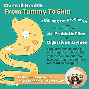 Dog Allergy Relief Freeze Dried Chews, with Probiotics, Colostrum for Immune Health, Anti Itch & Seasonal Allergies & Scratching, Omega 3 for Skin & Coat Health, Stop Pawlicking, Hot Spots, Shedding