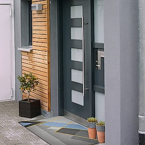 Rectangle Enterway Rug Low Pile Area Rug Non Slip Accent Throw Rug Kids Play Floor Carpet for Indoor Entrance Mat Living Room Laundry Bedroom Dining Table Decor 32x47 Inch Pattern 4