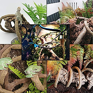 kathson Lizard Coco Den Gecko Coconut Husk Hut with Ladder Reptile Terrarium Plants Decor Hanging Lizards Hideouts Habitat Climbing Decorations Jungle Climber Vines for Chameleon 5 Pack