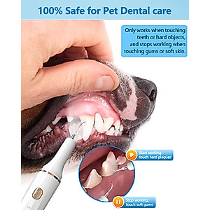 Hansaplast Plaque Remover for Teeth, Pet Teeth Cleaning Tools, Dental Tools to Remove Plaque and Tartar, Safe for Dog & Cat, with Led Light & 5 Adjustable Modes (White)