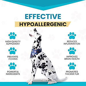 Wanderfound Pets - Omega 3 for Dogs, Skin and Coat Fish Oil for Dogs, Dog Itch Relief, Joint and Heart Health, Chewable Vitamins for Dogs Fur and Skin, Smoked Salmon and Liver Flavor, 120 Tablets