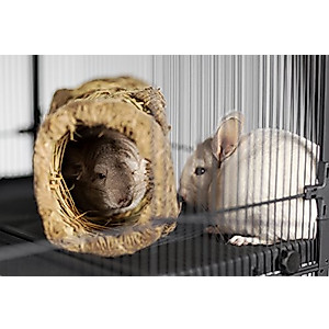 Prevue Hendryx 1098 Nature's Hideaway Grass Tunnel Toy, 13.5" x 6 "