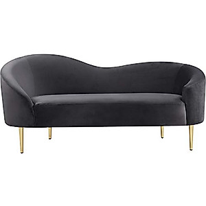 Meridian Furniture Ritz Collection Modern | Contemporary Velvet Upholstered Loveseat with Sturdy Metal Legs in Rich Gold Finish, Grey, 67" W x 31.75" D x 30.5" H