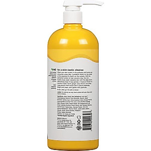 Alba Botanica Hawaiian Detox Body Wash, Anti-Pollution Volcanic Clay, 32 Oz