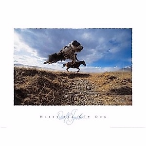 Harry the Cow Dog - Poster by David R. Stoecklein (32 x 24)