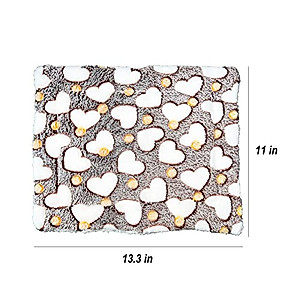 2 Pcs Guinea Pig Rat Hammock and Mat Set, Small Pet Cage Hammock and Warm Bed Soft Mat Rat Hanging Hammock Mat Bunkbed Sugar Glider Hammock for Chinchilla Parrot Ferret Squirrel Sugar Glider Playing