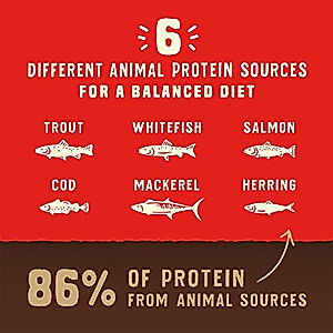 Stella & Chewy's Wild Red Dry Dog Food Raw Coated High Protein Grain & Legume Free Ocean Recipe, 3.5 lb. Bag