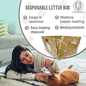 Cats Desire - 15 Trays, Disposable Litter Boxes for Cats - Litter Box, Fits Large Cats - Water Resistant Cat Litter Box - Made in USA, 19" L x17 W x 8.5" H - Enclosed Box