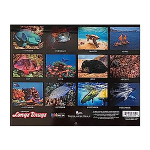 Long's Hawaii 2024 Hawaiian Twelve-Month Wall Calendar (Hawaii Tide and Moon Phase)