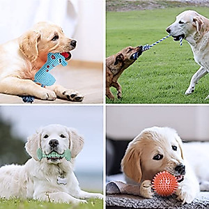 UZAKMI Puppy Toy for Teething Soft & Durable 6-Pack Dog Chew Squeaky Toys for Small and Medium Dogs Suitable for 2-8 Months Puppies’ Teething Small Dog Teeth Cleaning and Oral Health Protection