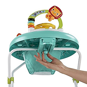 Zig Zag Zebra Walker with Easy Fold Frame for Storage, Ages 6 months +