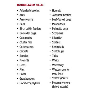 BUGGSLAYER Insecticide Ready-to-use Indoor 32-oz