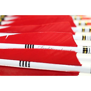TTFLY FLETCHING 12PCS Red Turkey Feather 31 inches Carbon Arrows Replacement Tips Targeting Arrows Archery for Recurve Longbow Hunting&Practice