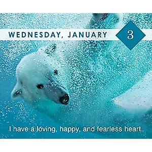 I Can Do It® 2024 Calendar: 366 Daily Affirmations