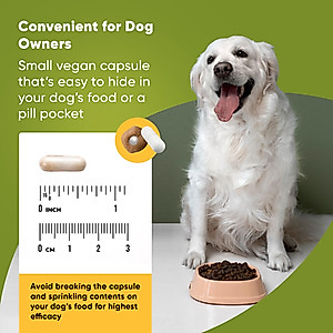 Rooted Owl Joint and Muscle Health - Hip and Joint Supplement for Dogs with UC-II Type II Collagen and L-Carnitine - Medium and Large Dog Joint Supplement - 30/ct