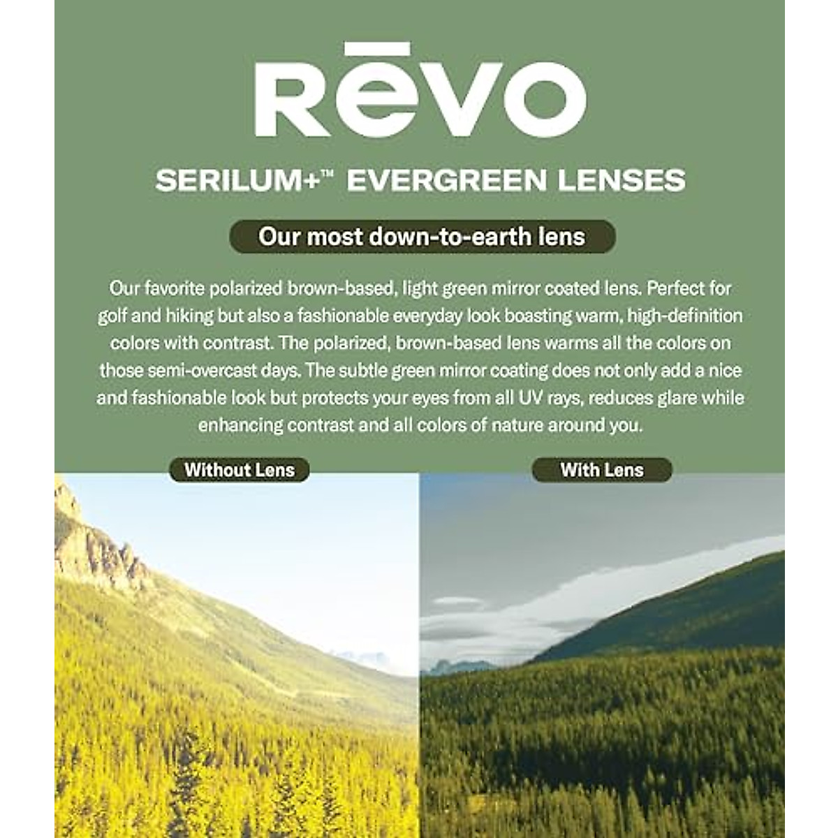 Revo Sunglasses Relay Petite: Women's Polarized Lens with Small Metal Aviator Frame, Gold Frame with Evergreen Lens