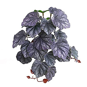 XISAOK Artificial Reptile Plants Lifelike Terrarium 3D Printed Leaves Amphibian Plant Tank Habitat Decoration for Iguana Turtle reptile plants for terrarium tropical habitat for bearded dragon snake