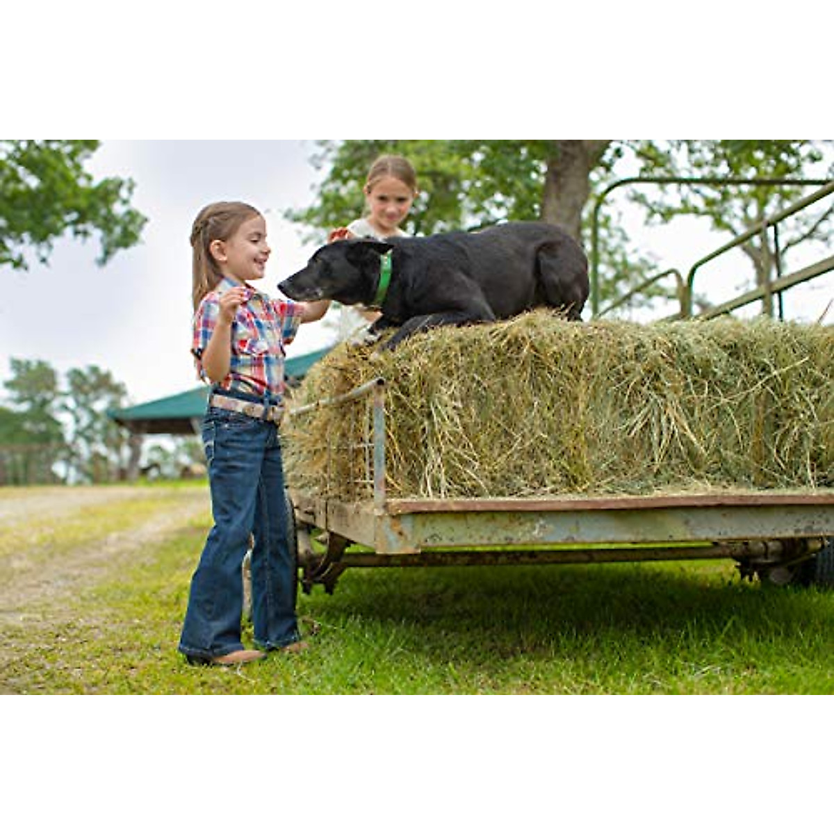 Wrangler Girls' Big Stretch Boot Cut Jean, Mid Blue, 14