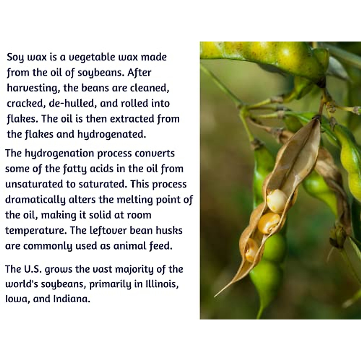 Soy Wax Melts| Made in USA | Plant Based Soy Wax | Amber and Sandalwood Soy Wax Cubes | 2 Packs | Net Weight 5 oz. (141 Grams) | 12 Scented Wax Cubes | Wax Cubes for Wax Warmer | Cozy Candlebox