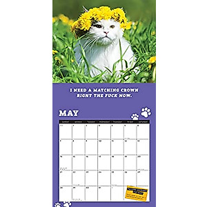 2023 Too F*cking Cute Cats Wall Calendar: A Year of D*mn Adorable Kitties (Funny Monthly Calendar & White Elephant Gag Gift for Cat Lovers)